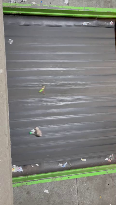 Conveyor Object Detection Dataset By Gihan Ruwanpathirana