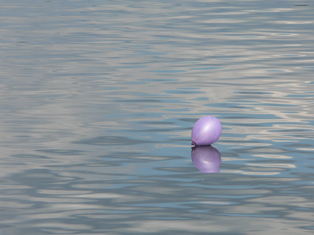 Balloon detection Object Detection Dataset and Pre-Trained Model by software