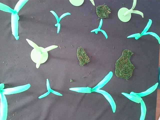 stand corn Object Detection Dataset and Pre-Trained Model by stend