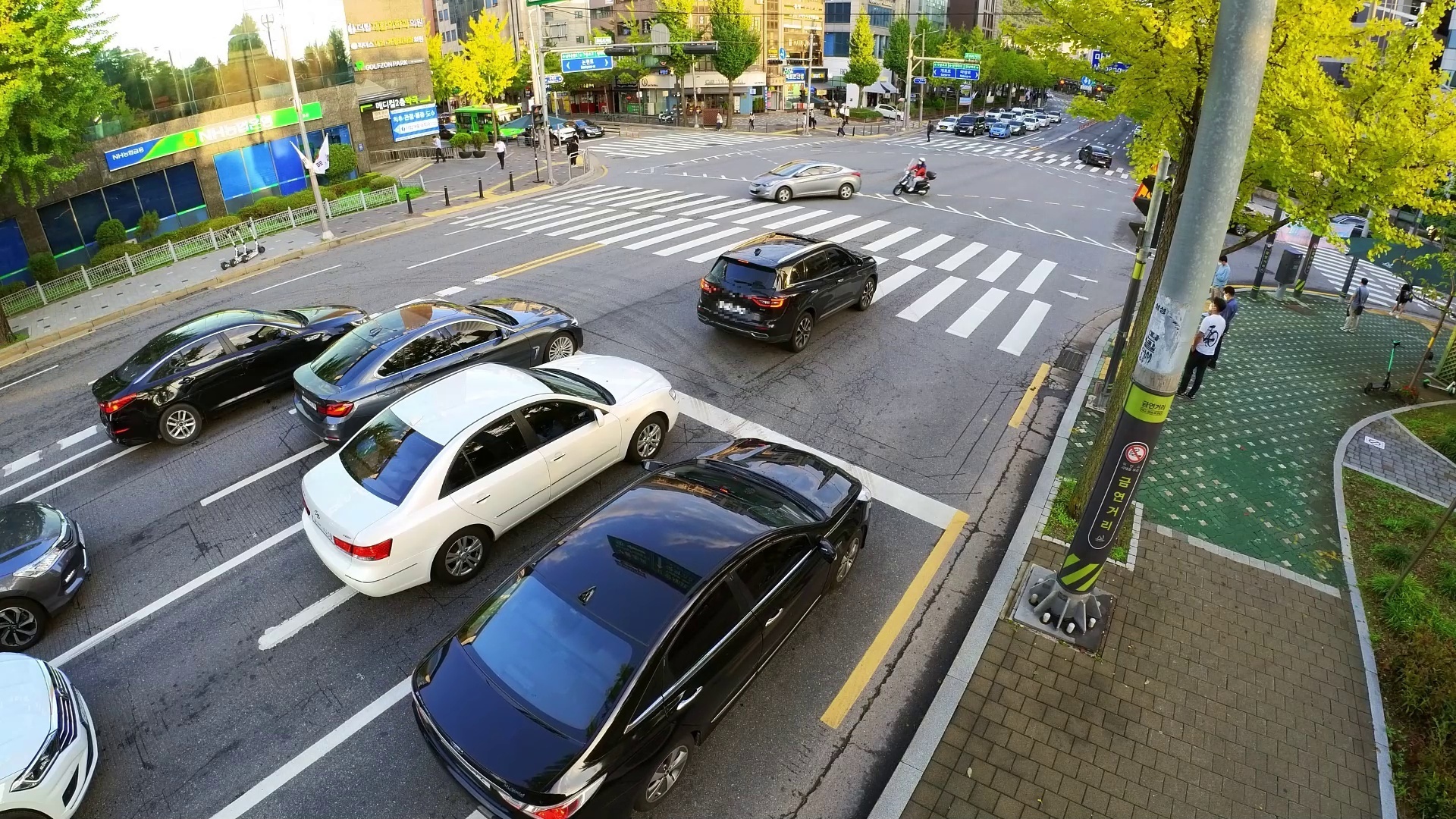 raccoon (raccoon-cbjnb) - Roboflow Universe