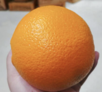 fruits_detection Classification Dataset by blackadamfromnightcity