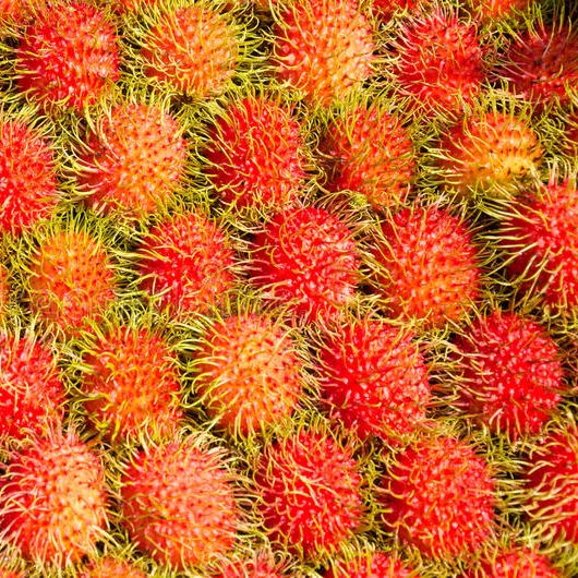 rambutan-peel cloning Object Detection Dataset by TVM rambutanpeels