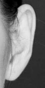 paperG Object Detection Dataset by university