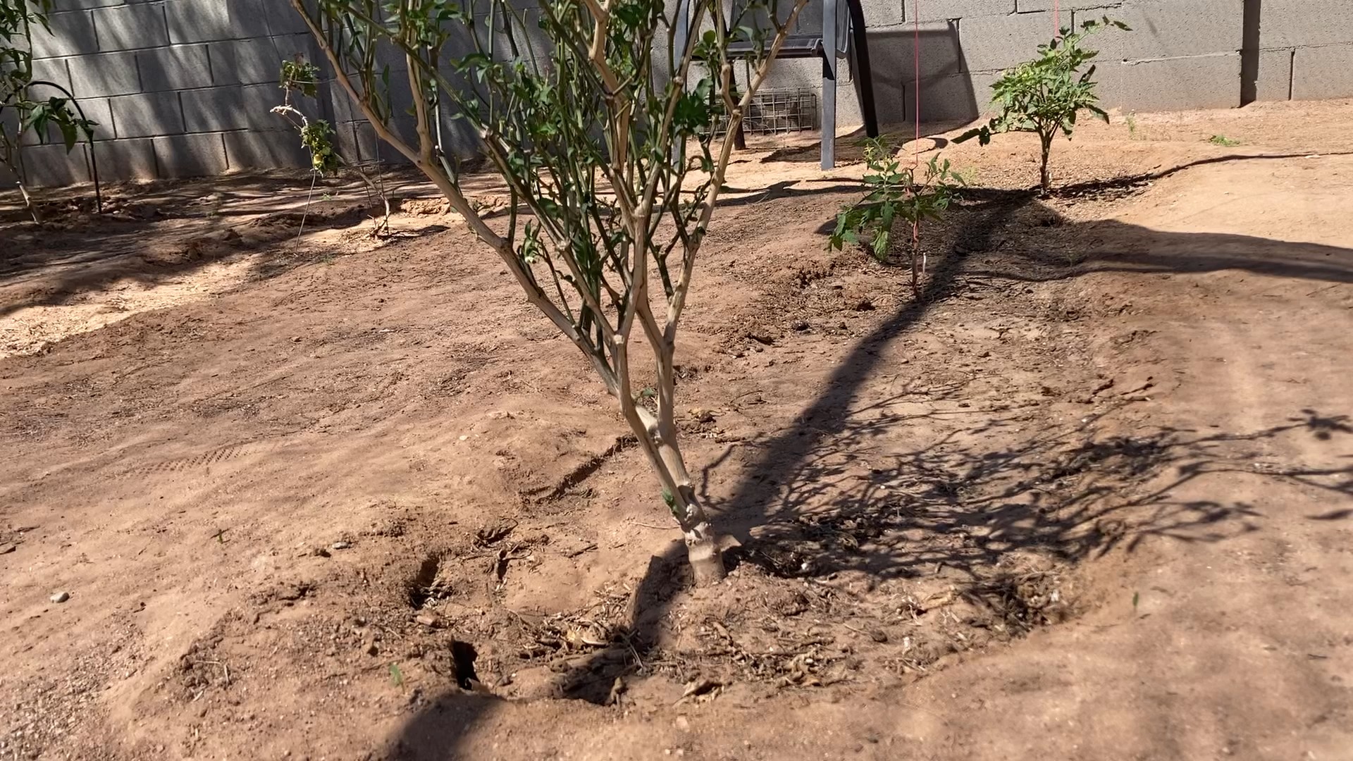 Ryan Markson - Roboflow Universe