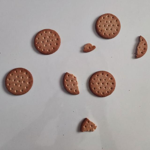 biscuit_fb Object Detection Dataset by Mamad