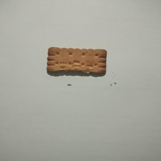 biscuit_module Object Detection Dataset by Mamad