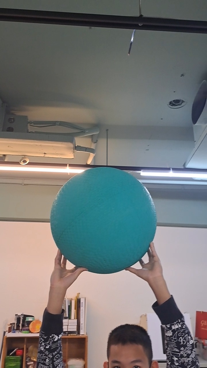 FRC 2025 game pieces Object Detection Model by Sunny Huang