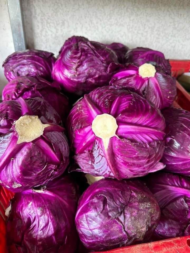 food vegetable fruit Object Detection Dataset and Pre-Trained Model by ay