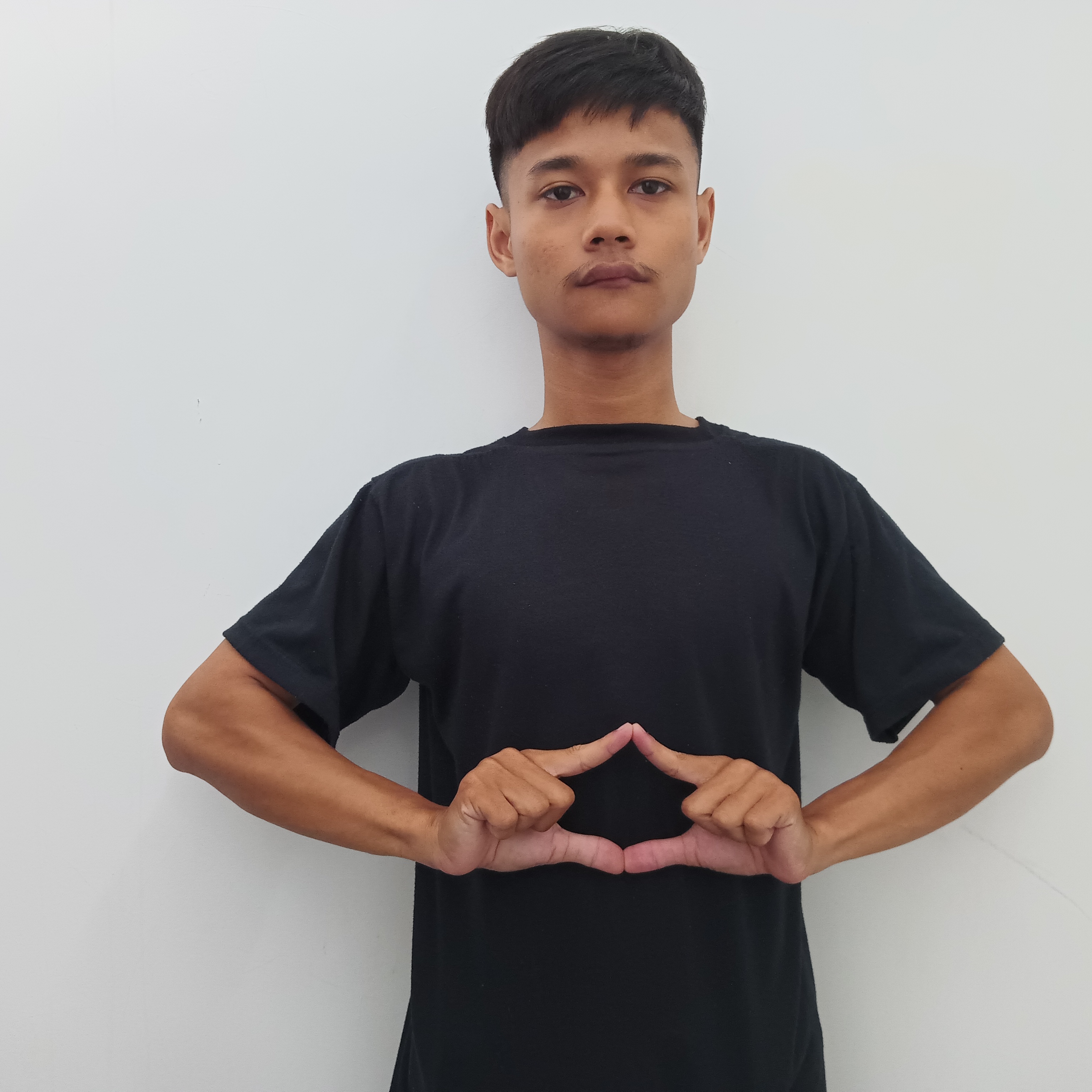 Bisindo 60 Dataset Skin Object Detection Dataset By Dataset