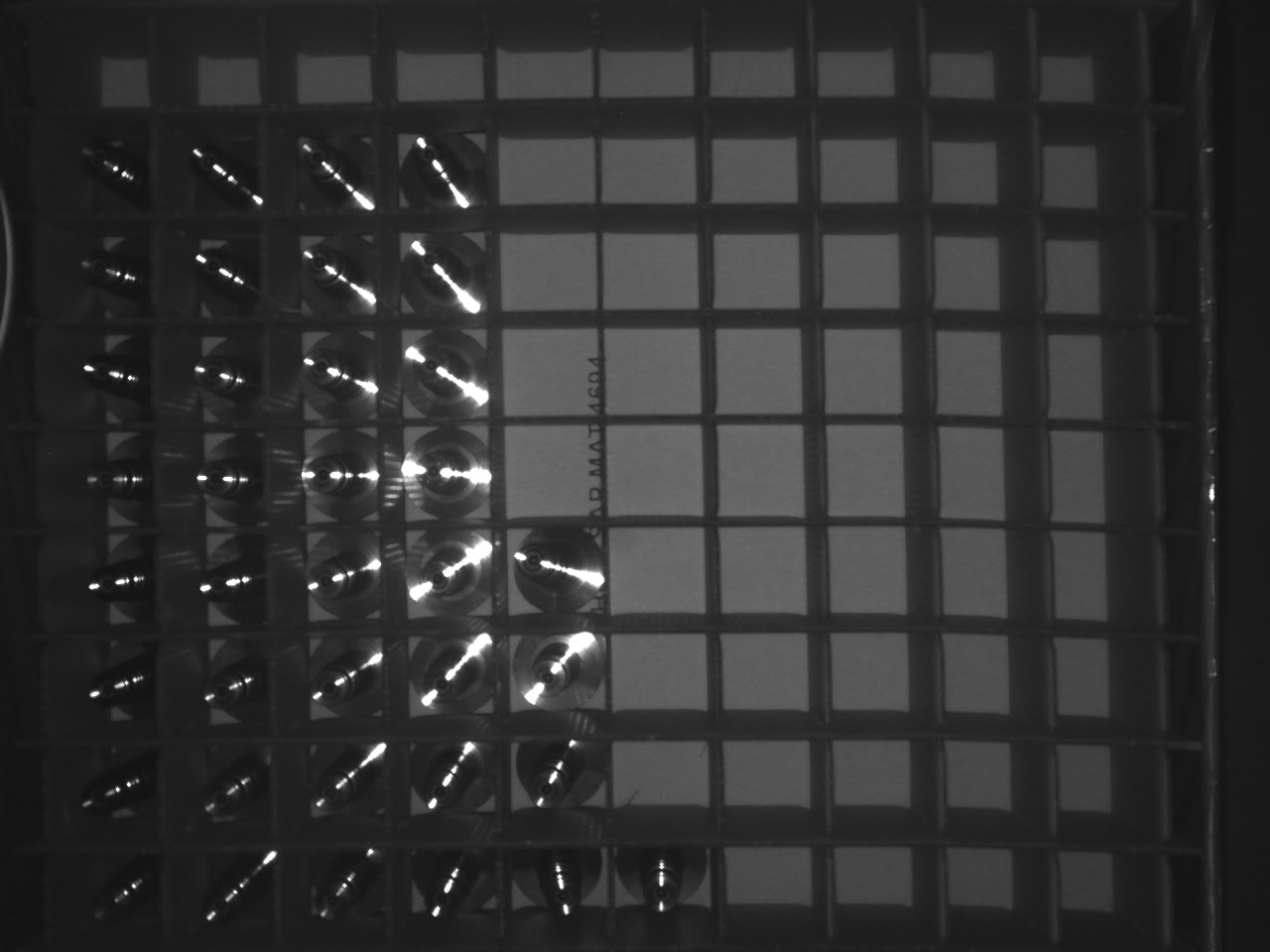 Hirsch. Oval objects One Object Detection Dataset by Cocreated Workspace