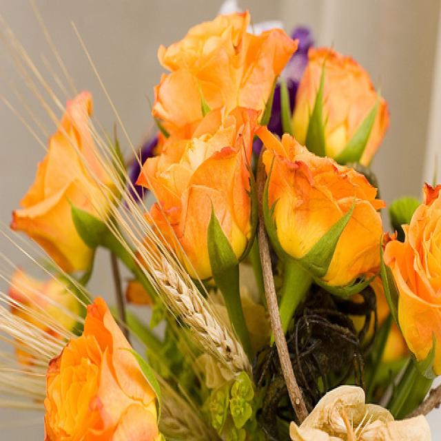 rose_detection Object Detection Dataset by Khaing