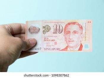 money Object Detection Dataset and Pre-Trained Model by Money Counter