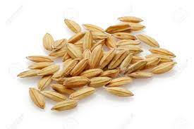 Top Paddy Datasets and Models | Roboflow Universe