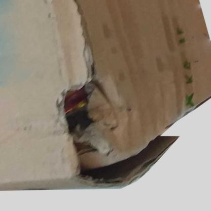 Cardboard Box Defect Object Detection Dataset by Kardus