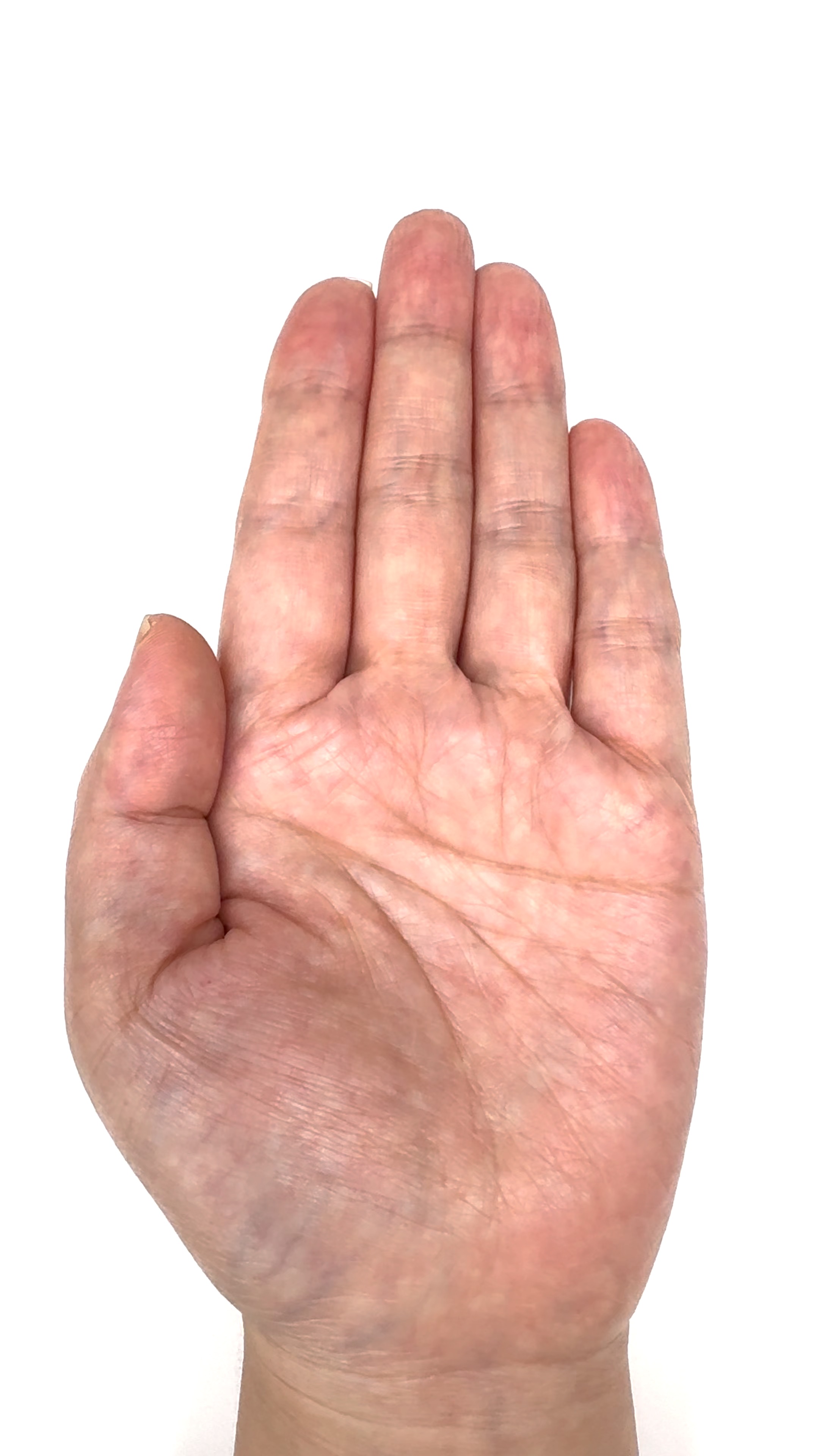 coin2 (coin2-2grgw) - Roboflow Universe