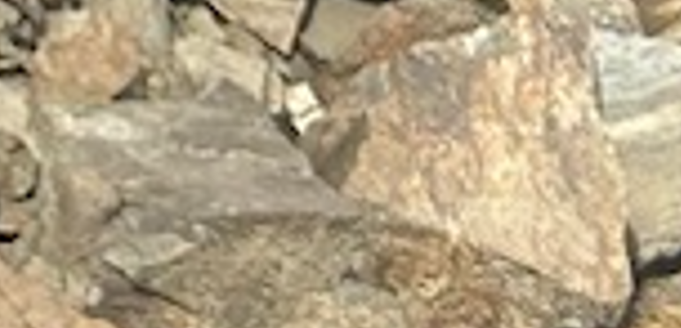 stone Instance Segmentation Dataset by project-7y0hj