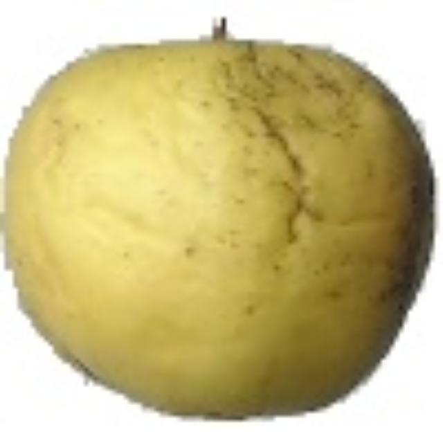 Fruit Classification 2 Classification Model by Sensing 2