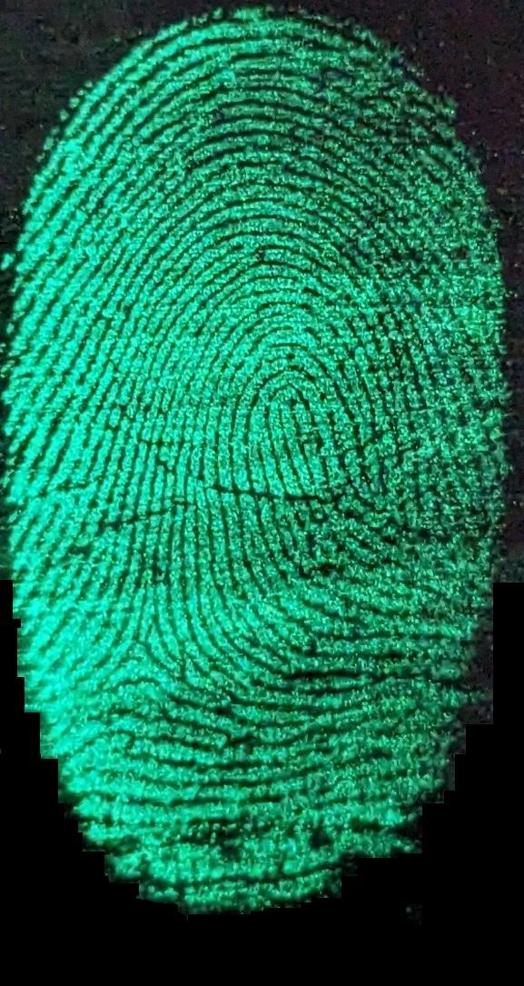 How to Use the All feature Object Detection API