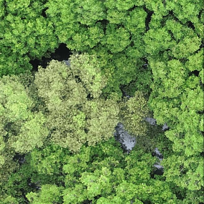 3_class_3764_anotasi Object Detection Dataset by mangrove