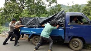 andre Object Detection Model by Andre Automatic number plate ...