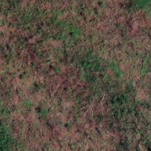 EY Object Detection Dataset and Pre-Trained Model by ey