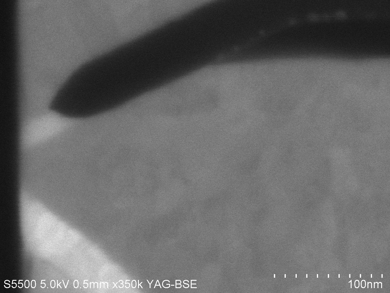 mg11_segm Instance Segmentation Dataset by AutoImage