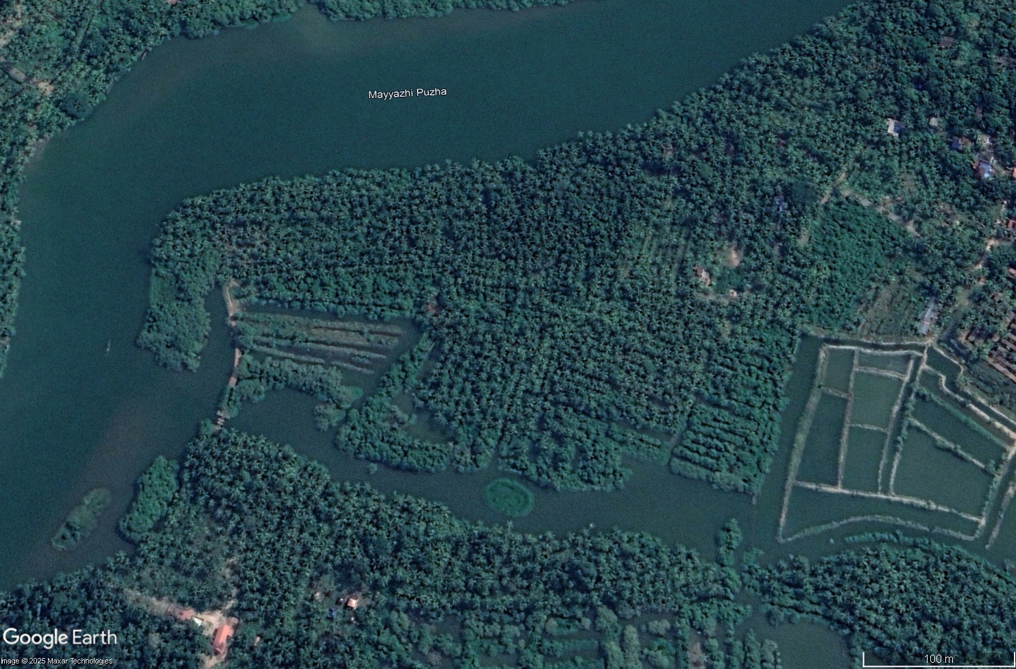 Complete Dataset Instance Segmentation Dataset By Coconut Tree Patches