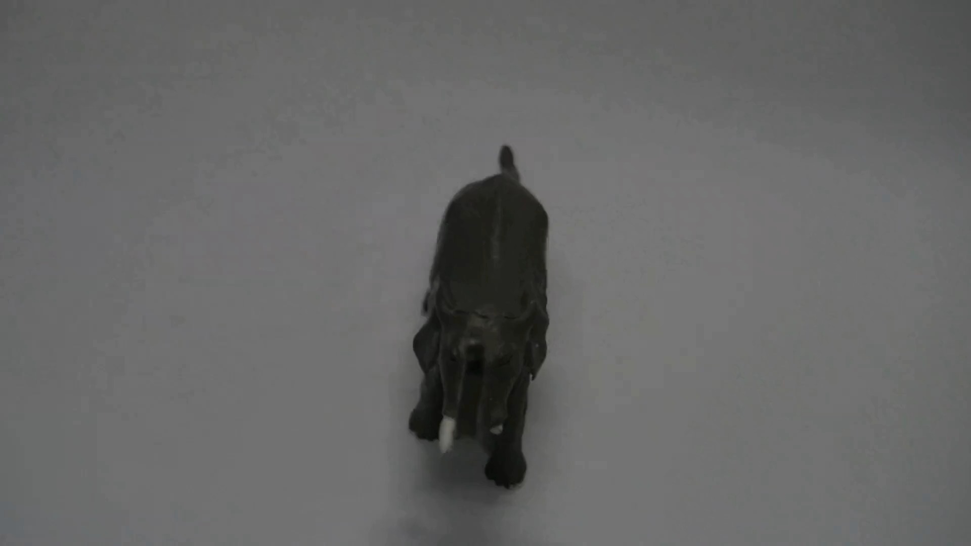 Elephant Detection Object Detection Dataset By Rheinwaal Of Applied Science