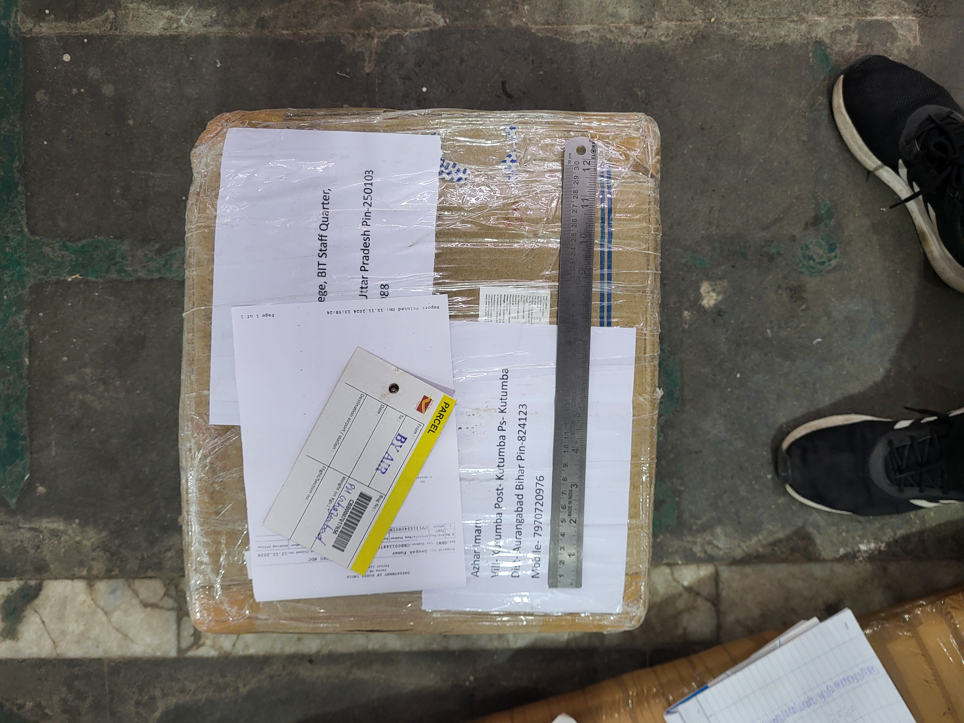 parcel new Instance Segmentation Model by cinzilla