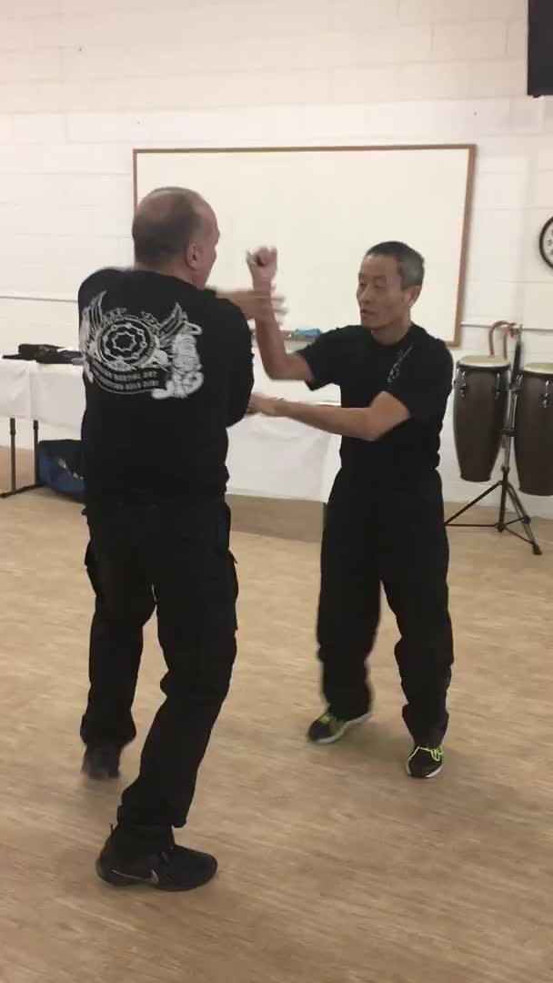 Fire-Arm-Detection Object Detection Dataset by visionify bindu