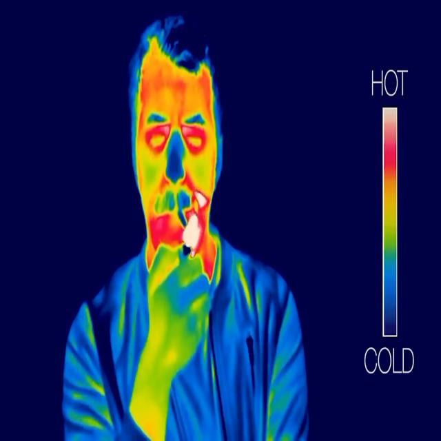 thermal person Object Detection Dataset by project-1yn1q