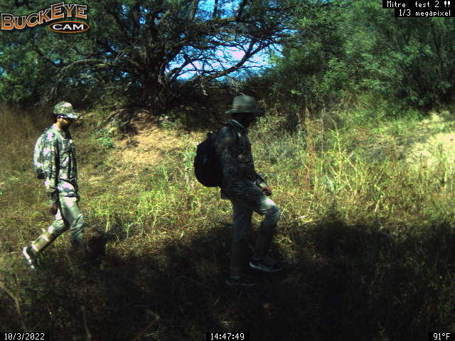 Camo Object Detection Object Detection Dataset And Pre Trained Model By Camouflage