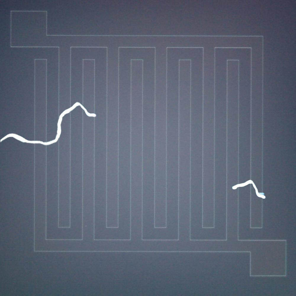 Lastdatasets Object Detection Dataset By Yongjiyeong