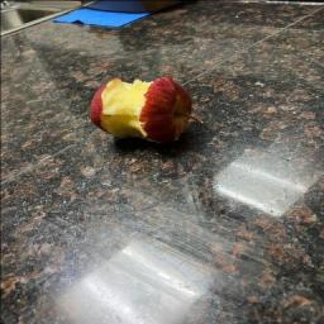 Apple_Detect Object Detection Dataset and Pre-Trained Model by Uni