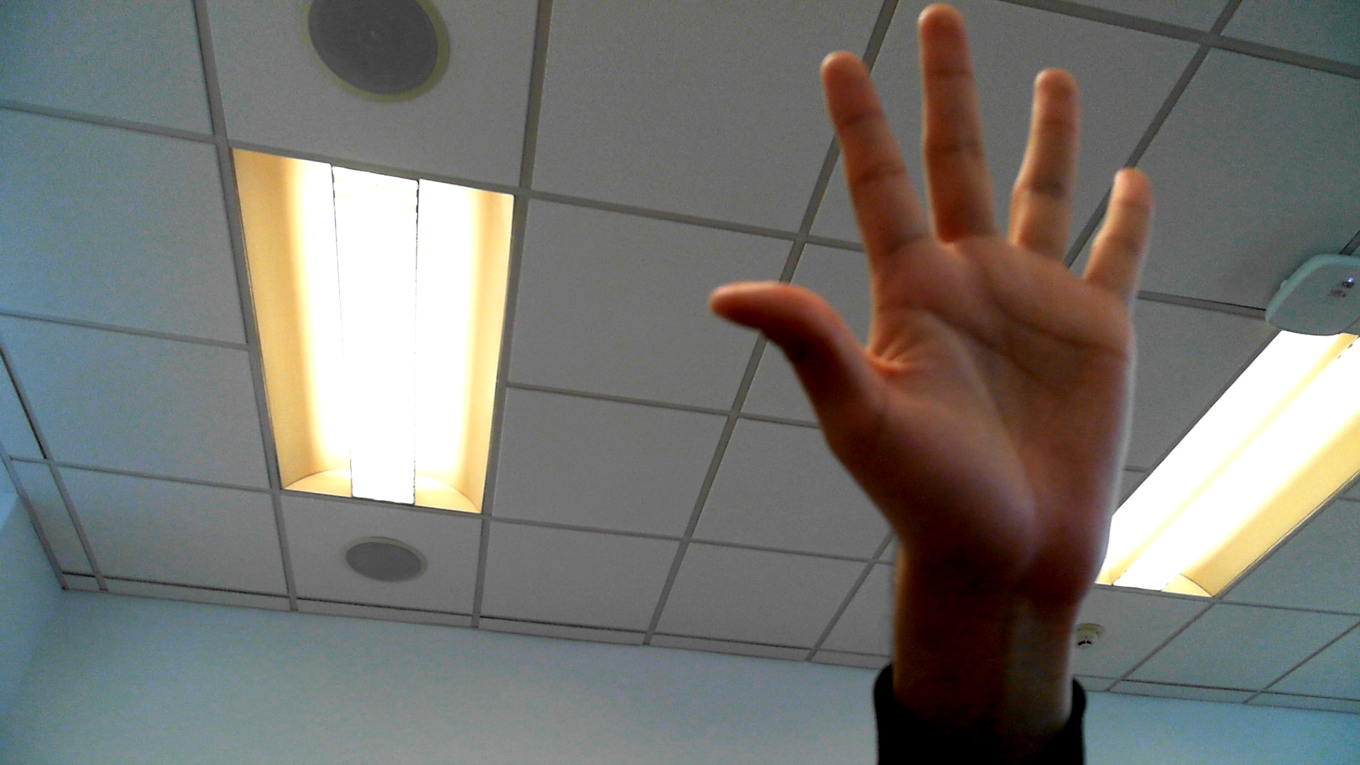 Hand Object Detection Dataset by Aless