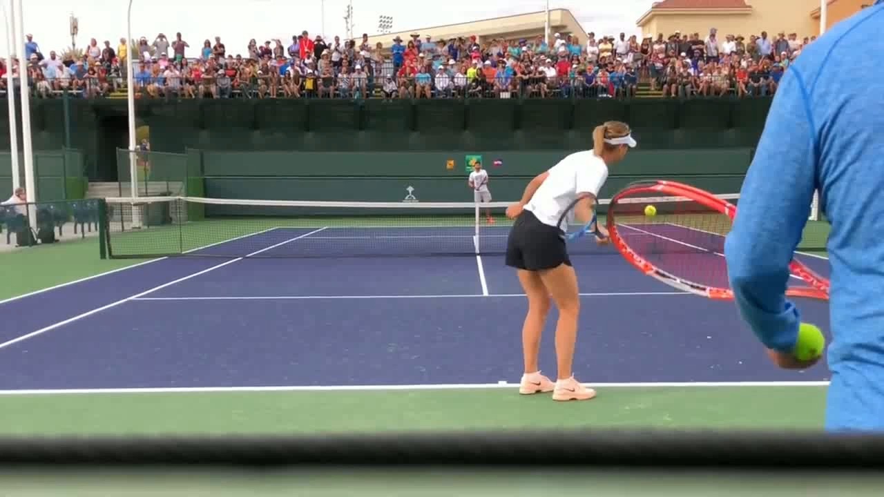 Tennis_project Object Detection Dataset by college