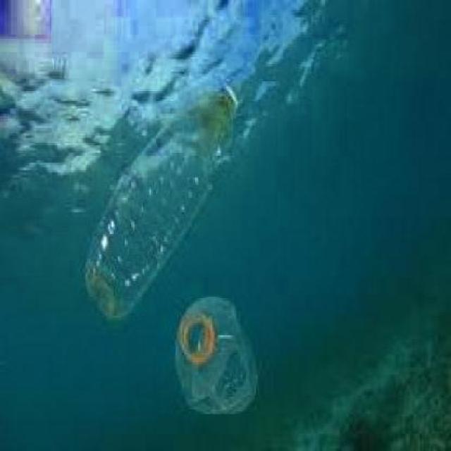 Plastic Detection Object Detection Dataset And Pre Trained Model By