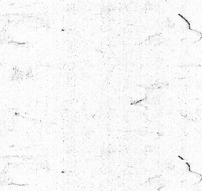 NDHG - Roboflow Universe