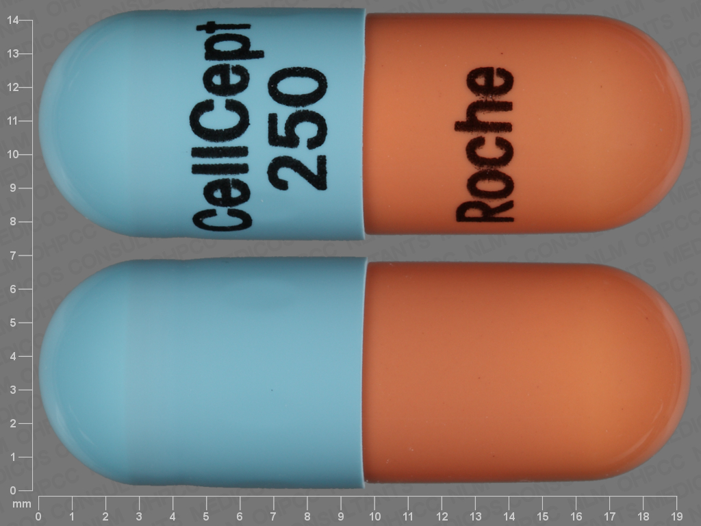 Pill Recognition Object Detection Dataset and Pre-Trained Model by pharmavision