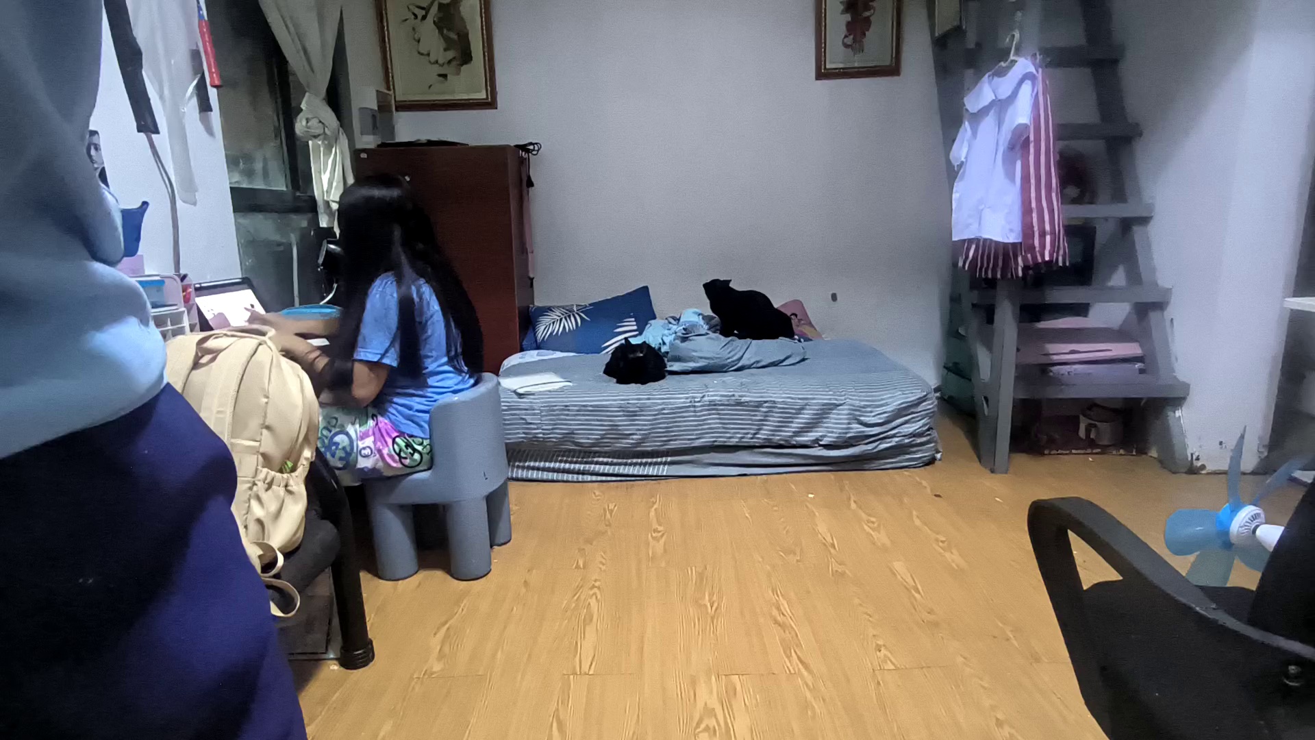 Fall Detection Custom Object Detection Dataset And Pre Trained Model By Evvin