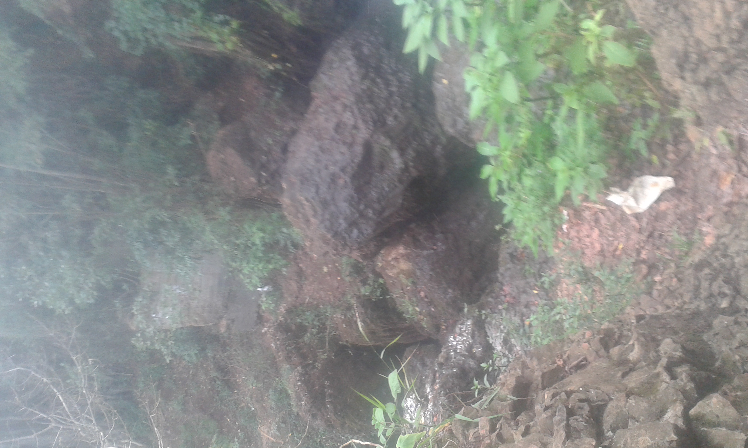 Road Detection Classification Dataset and Pre-Trained Model by Derrick Macharia