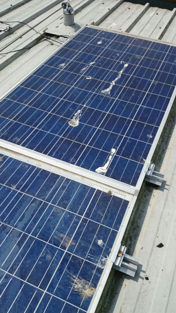 Shu Qin Chia - Roboflow Universe