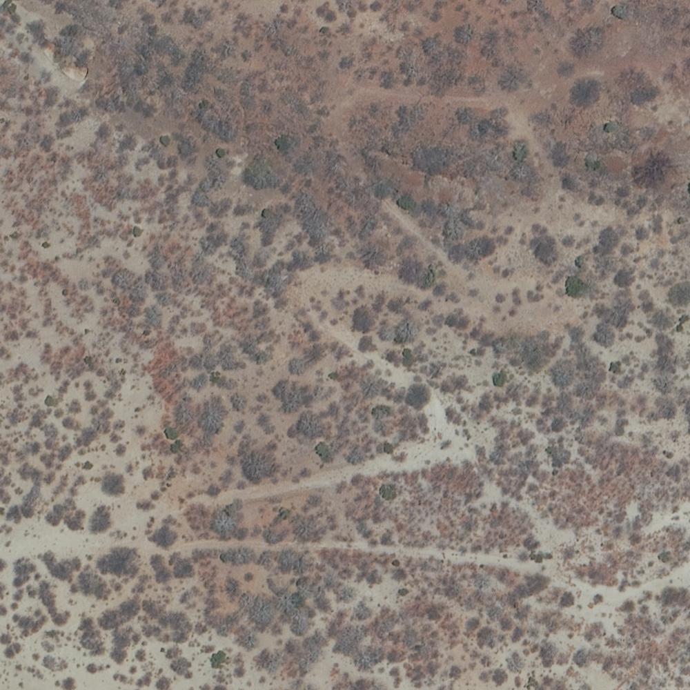 Tree Detection Object Detection Dataset And Pre Trained Model By Tree Detection Project