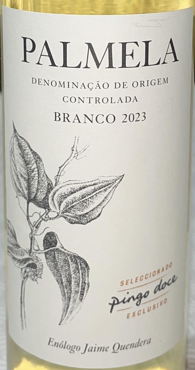 How to Use the Label text field detection Object Detection API