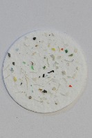 Microplastic Detection (microplastic-detection-4dcde) - Roboflow Universe