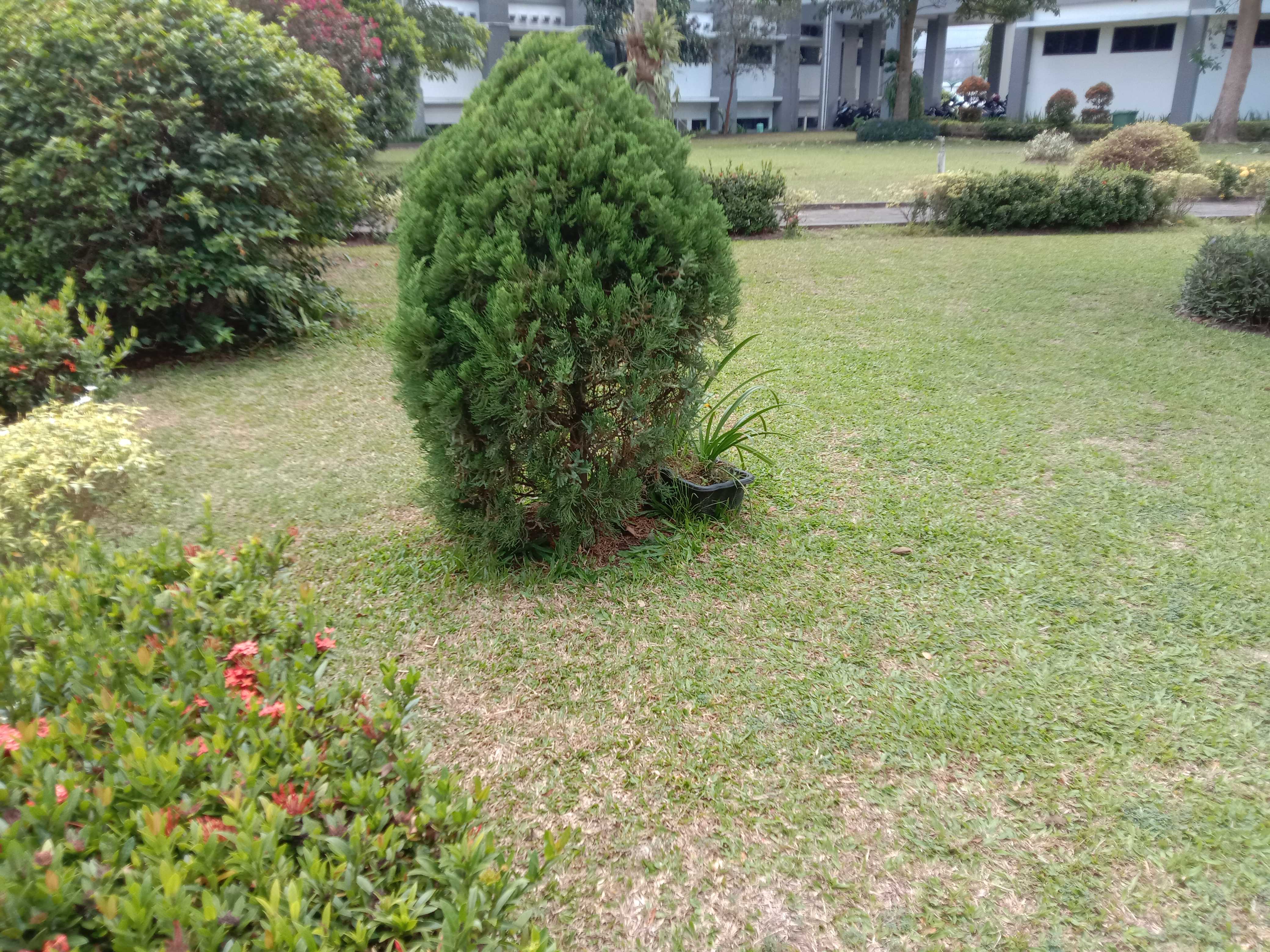 Pot object detection Object Detection Dataset by Haikal FK