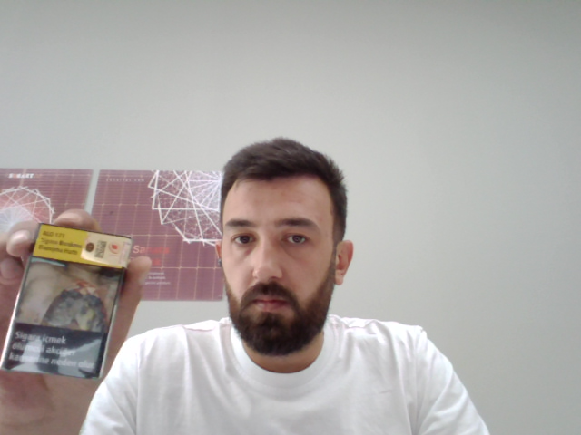 testAI Object Detection Model by testAI