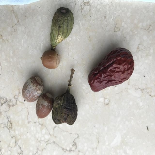 Tuke (tuke-a37ov) - Roboflow Universe