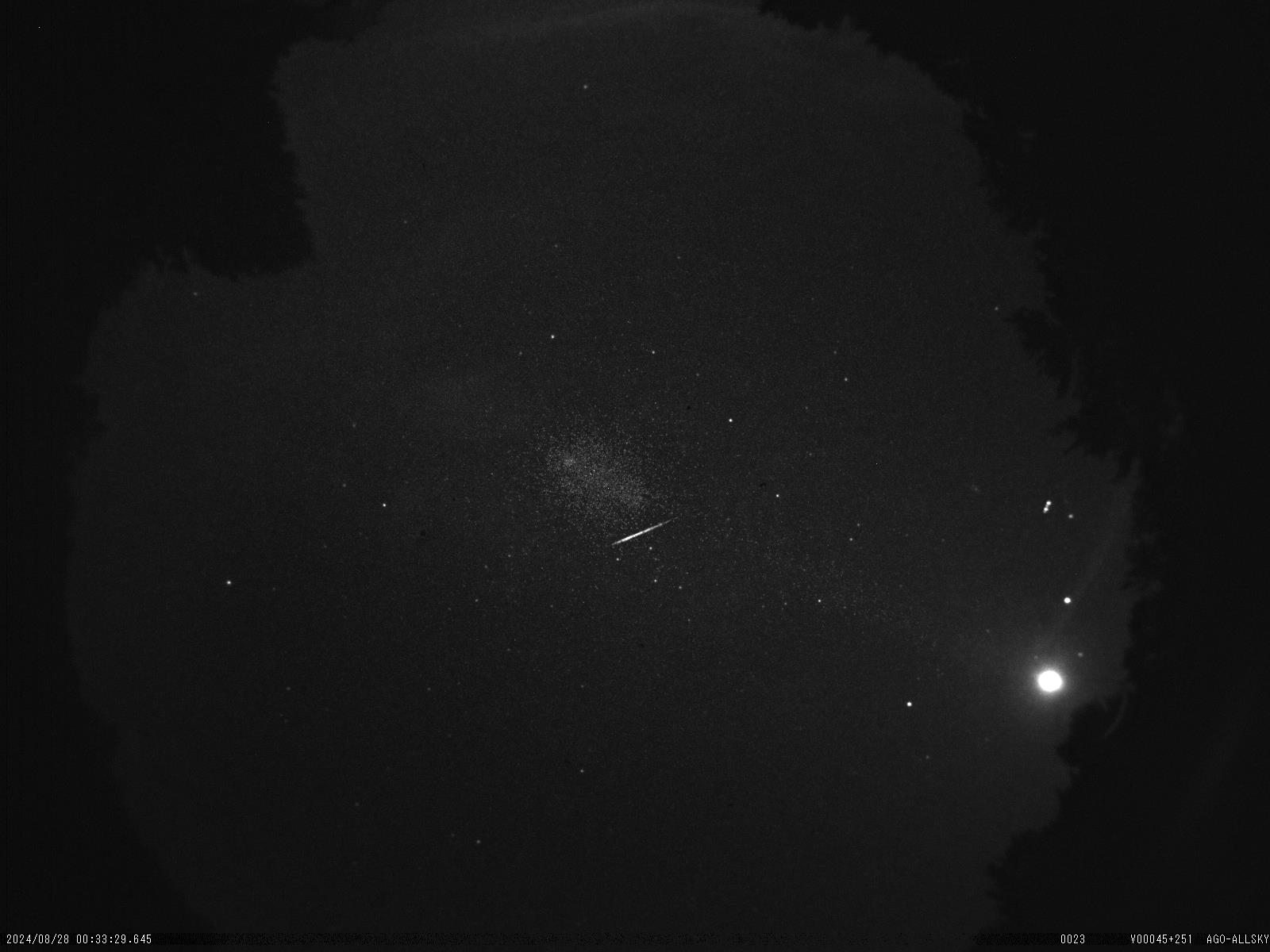 DP - binary classification Object Detection Model by DP Meteory