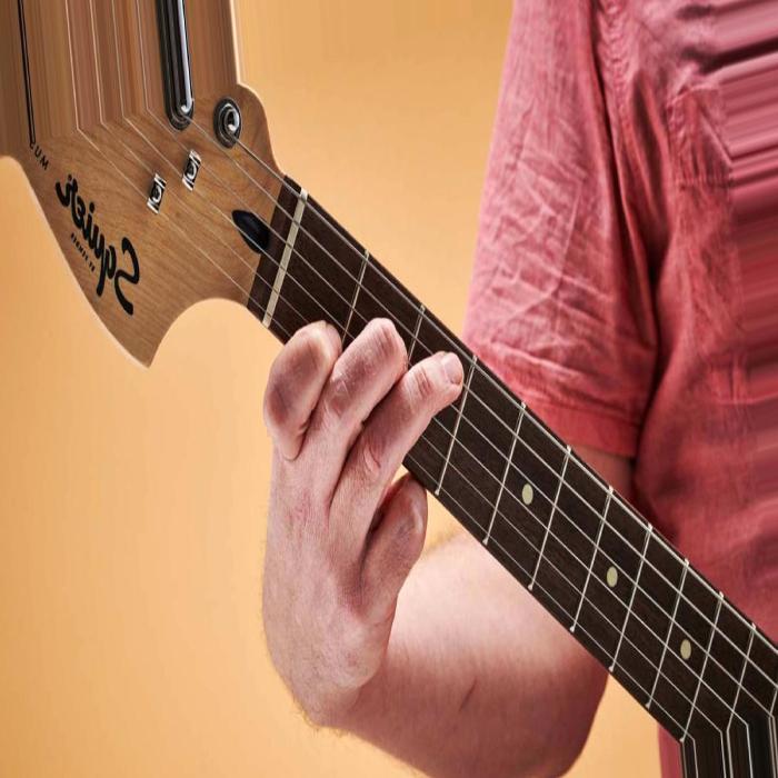 Guitar Object Detection Model by asdlkjanbskglfjnlsdmvblkds